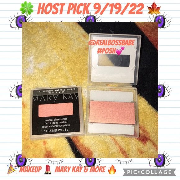 Mary Kay | Makeup | Mary Kay Mineral Cheek Color Shy Blush New | Poshmark